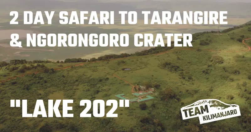 Safari Itinerary Proposals / LAKE 202 💵💵