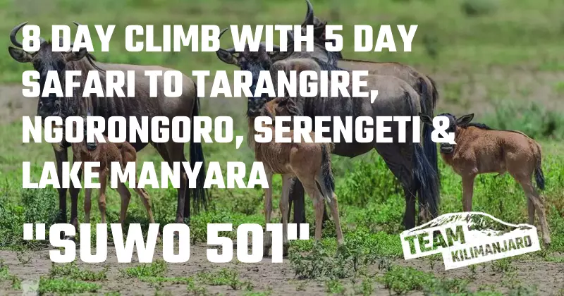 Safari Itinerary Proposals / SUWO 501 💵💵